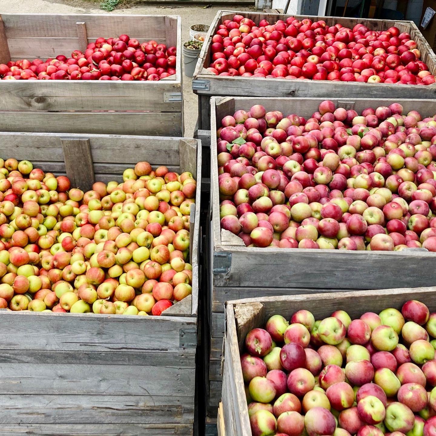 John Schultz & Sons - Feeding Pennsylvania