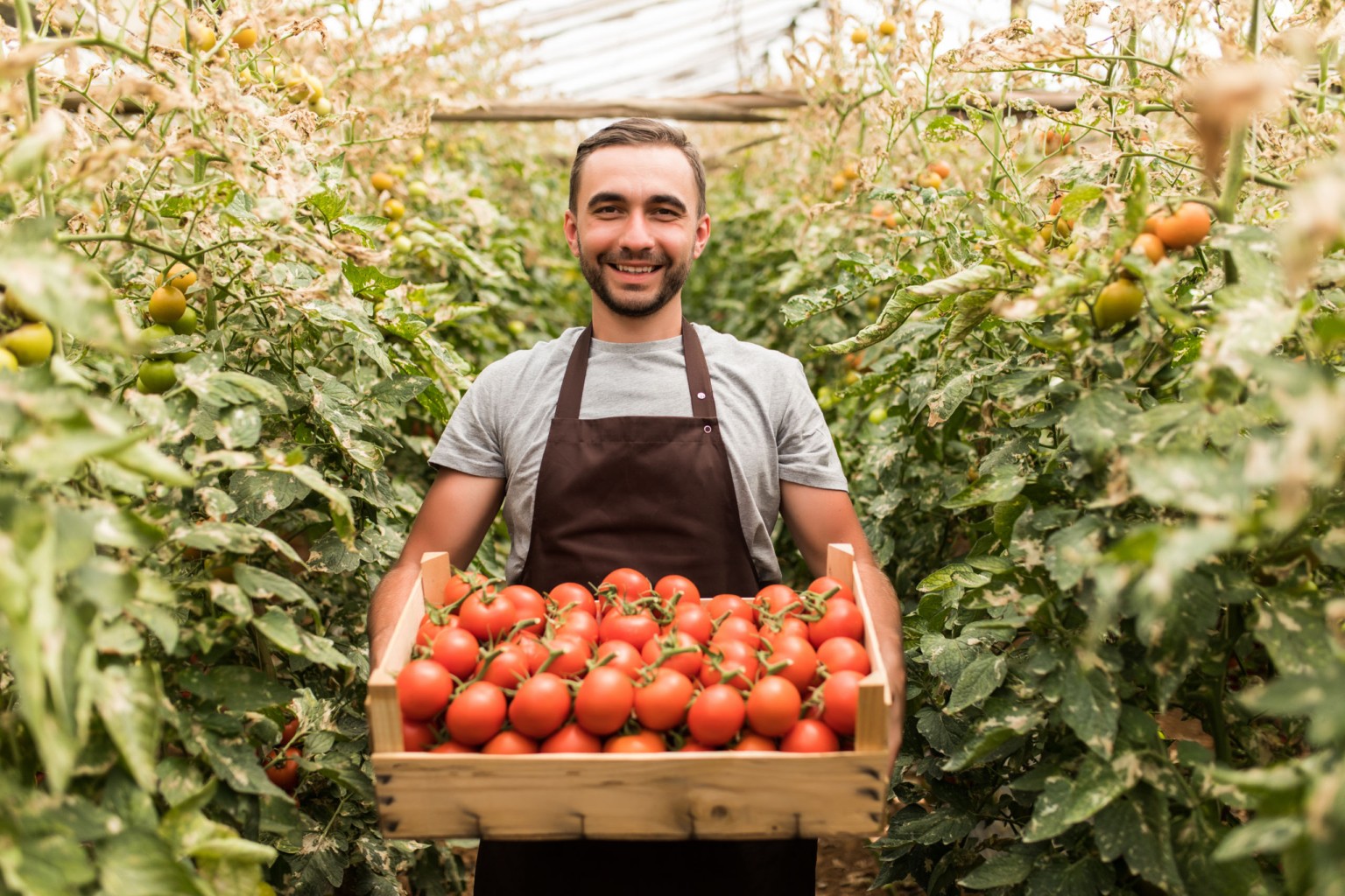 Partnering with Farms for Food Banks - Feeding Pennsylvania