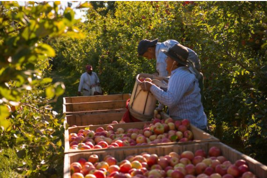 PA Agriculture Spotlight: Solebury Orchards - Feeding Pennsylvania