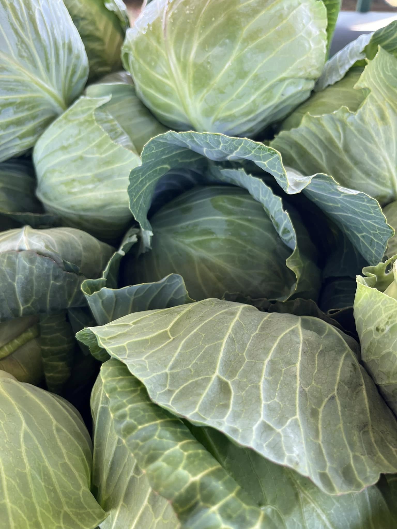 PA Agriculture Spotlight: Hopkins Farm - Feeding Pennsylvania