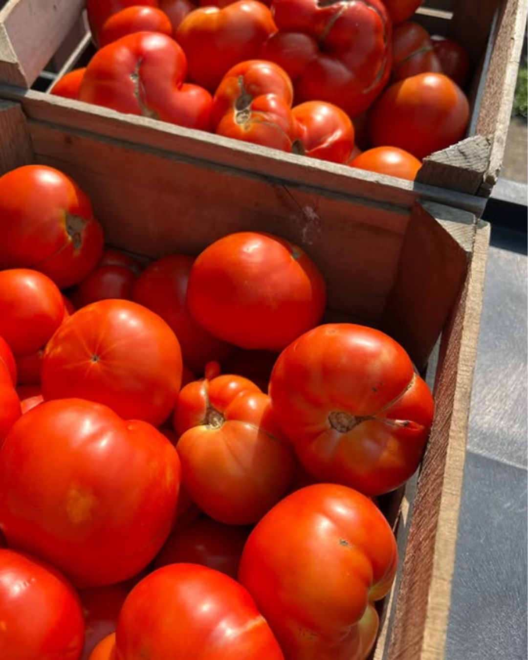 Triple B Farms - Feeding Pennsylvania